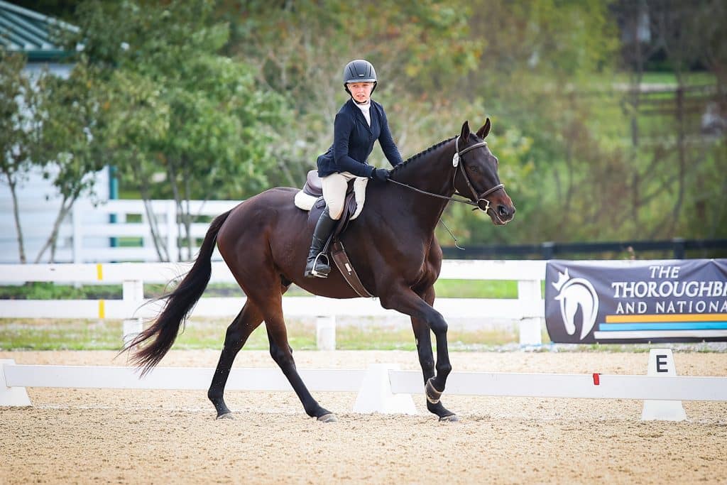 A Parent's Guide to OTTB Ownership - Retired Racehorse Project